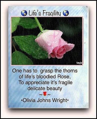 ‘Life’s Fragility’ - a poem by Oliviaa - All Poetry
