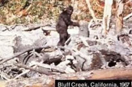 Bigfoot Poems - Modern Award-winning Bigfoot Poetry : All Poetry