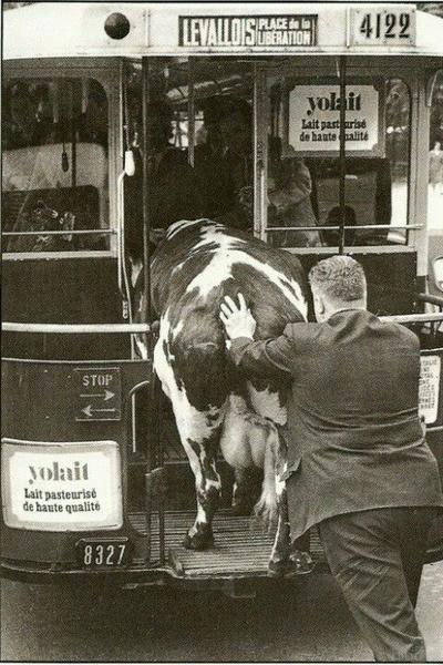 Dairy Poems - Modern Award-winning Dairy Poetry : All Poetry