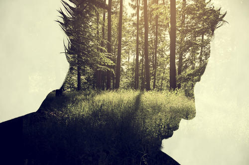 George orwell Poems - Modern Award-winning George orwell Poetry : All ...