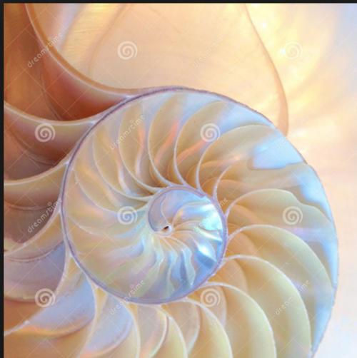 Ratio Poems - Modern Award-winning Ratio Poetry : All Poetry