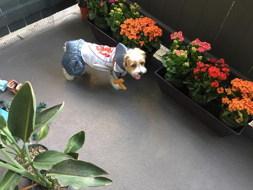 Knight Poems - Modern Award-winning Knight Poetry : All Poetry