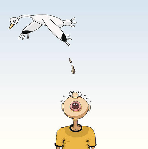 Bird Poo (Child's Poem) - a poem by Stevy Want - All Poetry