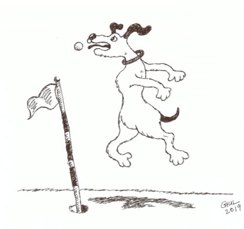 Taffy Goes Golfing - a poem by Greg Gaul - All Poetry