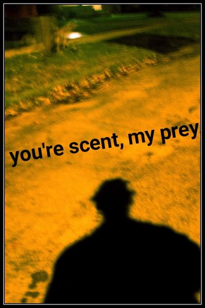Suspense Poems - Modern Award-winning Suspense Poetry : All Poetry
