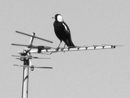 Shattering soundscape of A Storm Over Tokyo Bay- - a poem by gypsum ...