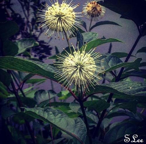 Garnet Poems - Modern Award-winning Garnet Poetry : All Poetry