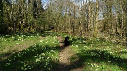 Countryside Poems - Modern Award-winning Countryside Poetry : All Poetry