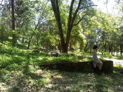 Cemetery Poems - Modern Award-winning Cemetery Poetry : All Poetry