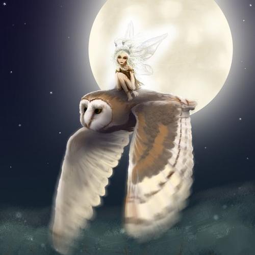 The Moon and the Flying Owl - a poem by janey2307 - All Poetry
