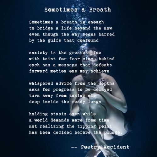 Surviving Poems - Modern Award-winning Surviving Poetry : All Poetry