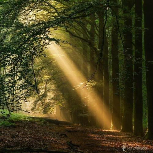 In the Shadows Cast - a poem by Tony DeLorger - All Poetry