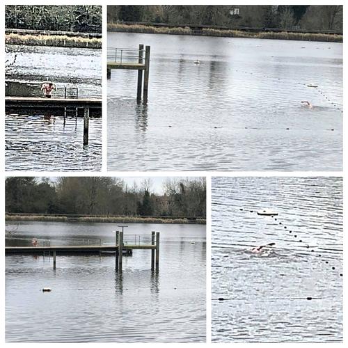 Highgate Men's Bathing Pond - a poem by James George - All Poetry