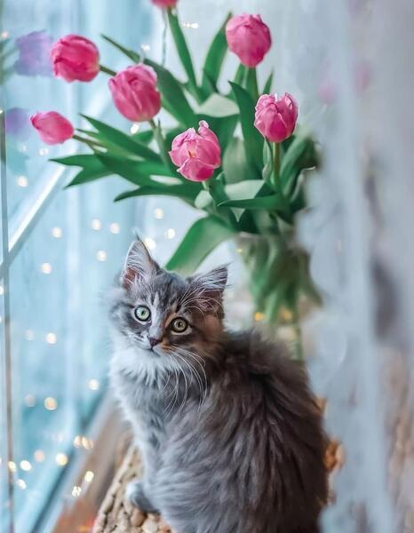 [ Hazel ] - a poem by jennareborn - All Poetry