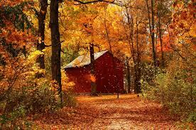 Autumn Chill ~ sonnet - a poem by Line Gauthier - All Poetry
