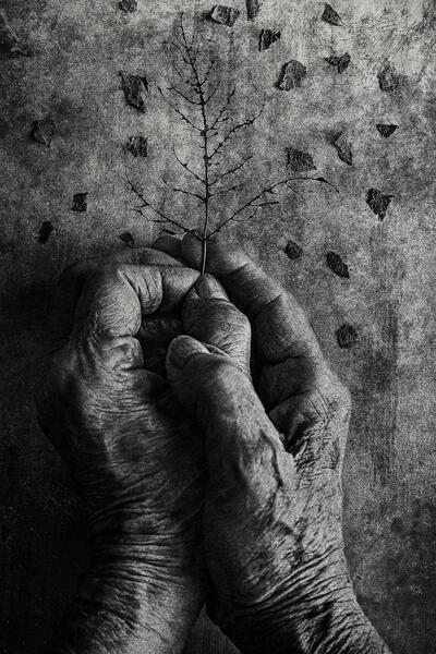Erosion Poems - Modern Award-winning Erosion Poetry : All Poetry