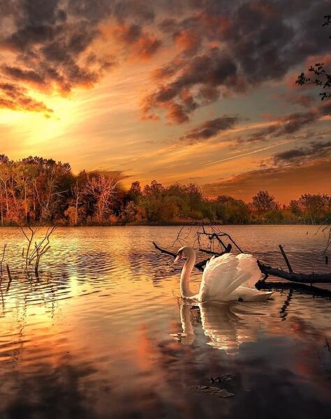 Perspicuous - a poem by Mermaid - All Poetry