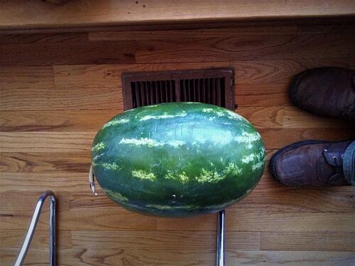 Redneck Poems - Modern Award-winning Redneck Poetry : All Poetry