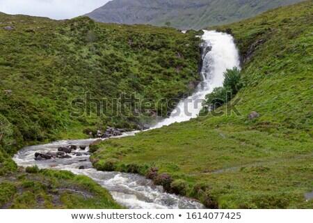 Overwhelmed Poems - Modern Award-winning Overwhelmed Poetry : All Poetry