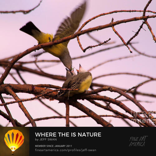 Nurturing Poems - Modern Award-winning Nurturing Poetry : All Poetry