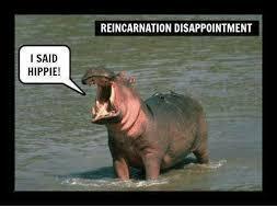 Hippo Poems - Modern Award-winning Hippo Poetry : All Poetry