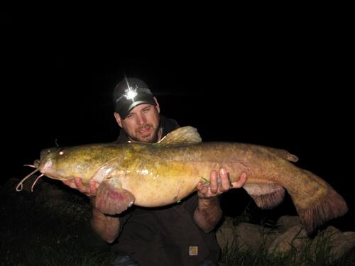 The 'Yaller' Catfish - a poem by Amethyst Moonjade - All Poetry