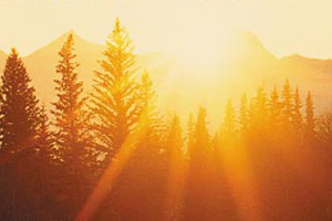 My Heart's Desire - an etheree poem - a poem by thelordreigns - All Poetry