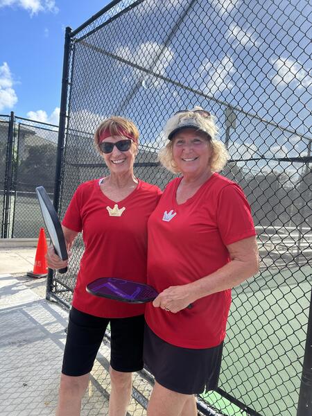 I love to play pickleball - a poem by Terry jordan - All Poetry