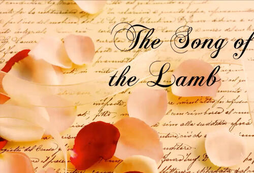 Praise Poems - Modern Award-winning Praise Poetry : All Poetry