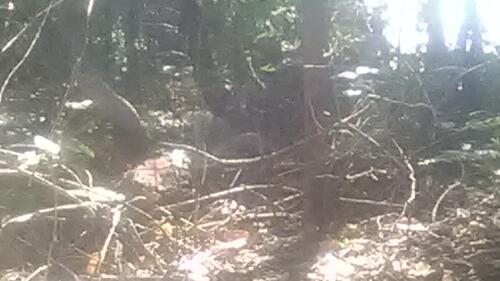 Death warmed over i would't read it either eat smee You are. - a poem ...