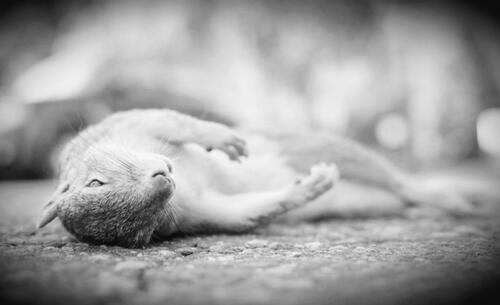 Psychopaths Poems - Modern Award-winning Psychopaths Poetry : All Poetry