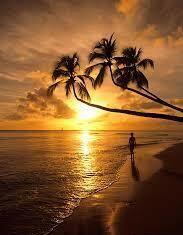 Nuts Over a Coconut ~ limerick - a poem by Line Gauthier - All Poetry