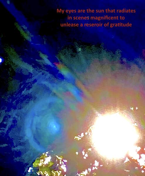 Eyes Poems - Modern Award-winning Eyes Poetry : All Poetry