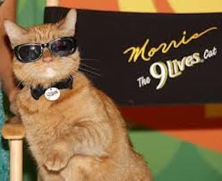 Modeling Poems - Modern Award-winning Modeling Poetry : All Poetry