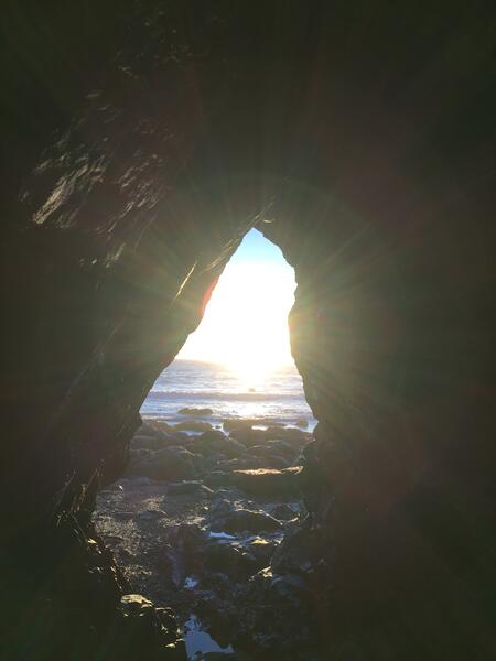 Survive Thrive (Free Verse) - a poem by Christian M. Coli - All Poetry