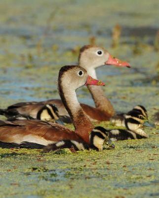 Humanism Poems - Modern Award-winning Humanism Poetry : All Poetry