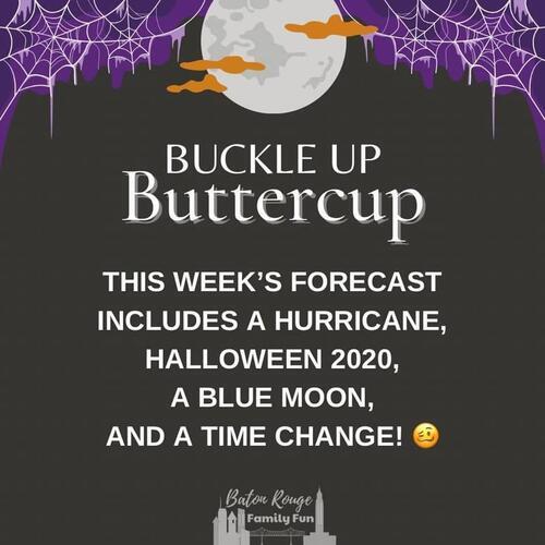 Buckle Up Buttercup - a poem by PinkFaerie5 - All Poetry