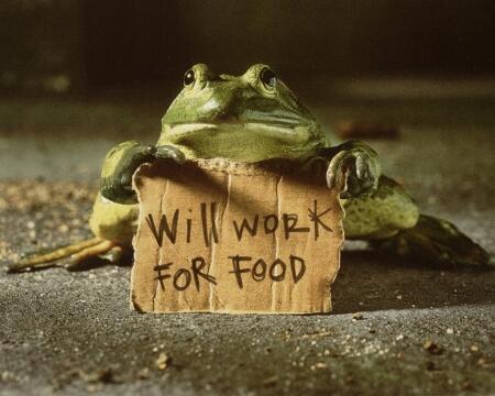 I know a frog (Limerick) - a poem by Joanna Garrido - All Poetry