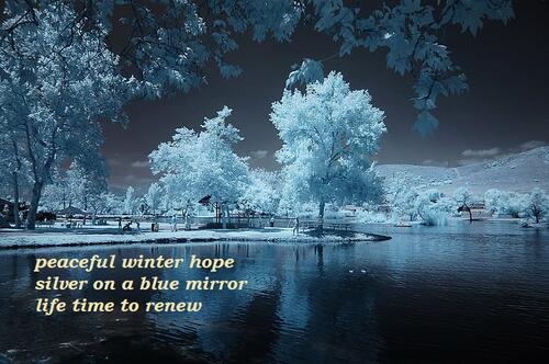 [peaceful winter hope] - a poem by Nunoftferreira - All Poetry
