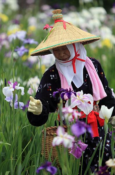 Haiku hope Poems - Modern Award-winning Haiku hope Poetry : All Poetry