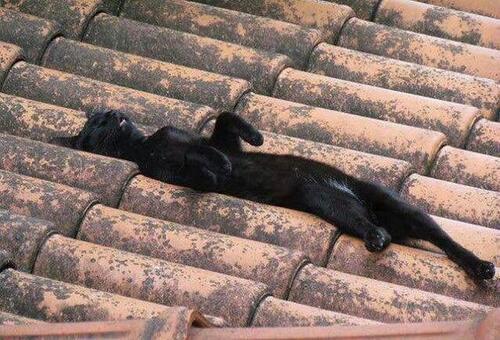 Sunbathing Poems - Modern Award-winning Sunbathing Poetry : All Poetry