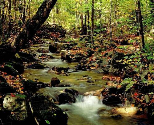 Through The Eyes Of A Babbling Brook - a poem by JEG325 - All Poetry