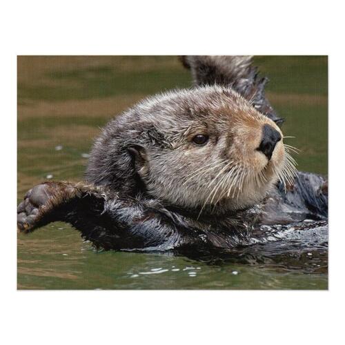 Otter Camp - a poem by Paulbrot - All Poetry