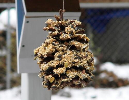 Peanut Butter Pine Cones - a poem by Amethyst Moonjade - All Poetry