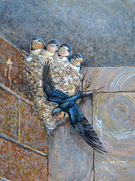 Grandma's Farm: The Barn Swallows - a poem by Solomonsverses - All Poetry