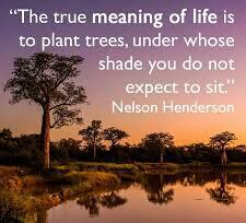 Deforestation Poems - Modern Award-winning Deforestation Poetry : All ...