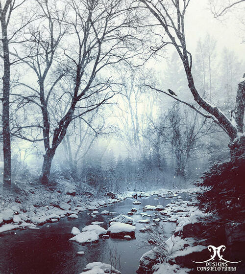 [Frozen Winter Survival] - a poem by Norma St John Poetress - All Poetry