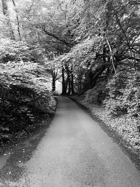 Abstract Poems - Modern Award-winning Abstract Poetry : All Poetry