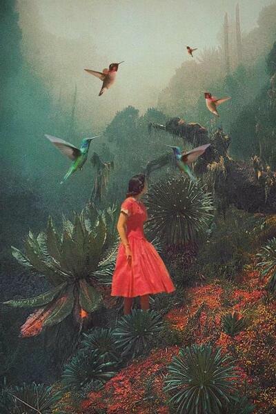 Hummingbirds Poems - Modern Award-winning Hummingbirds Poetry : All Poetry