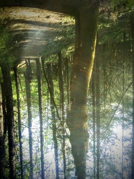 Emerald Oddity Underworld XXIV: Beautiful Wings Of Lady Wilde - a poem ...